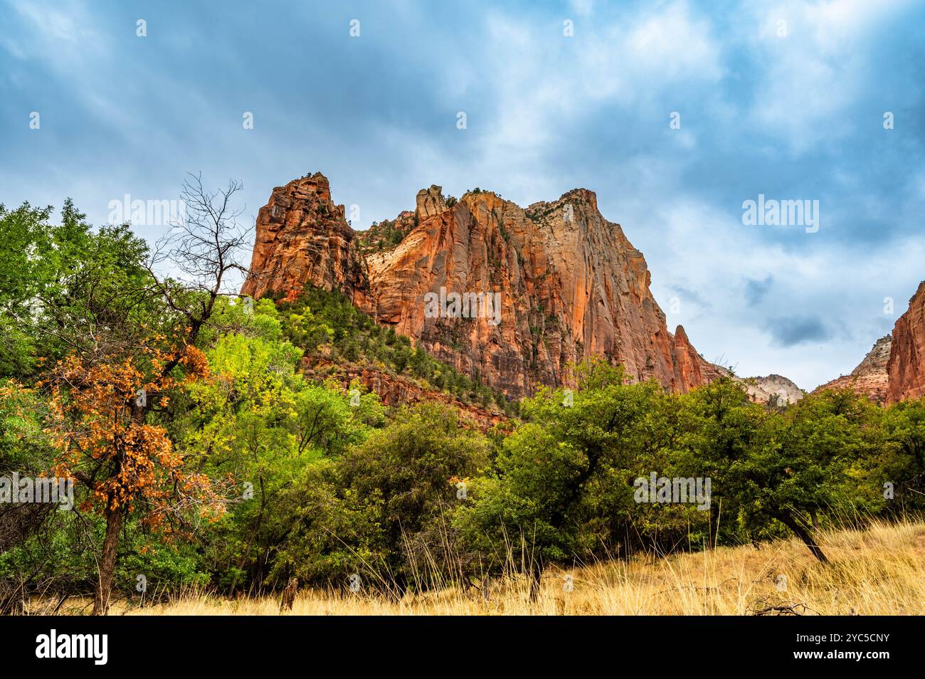 Zion National Park Emerald Pool hike in fall of 2024 Stock Photo - Alamy