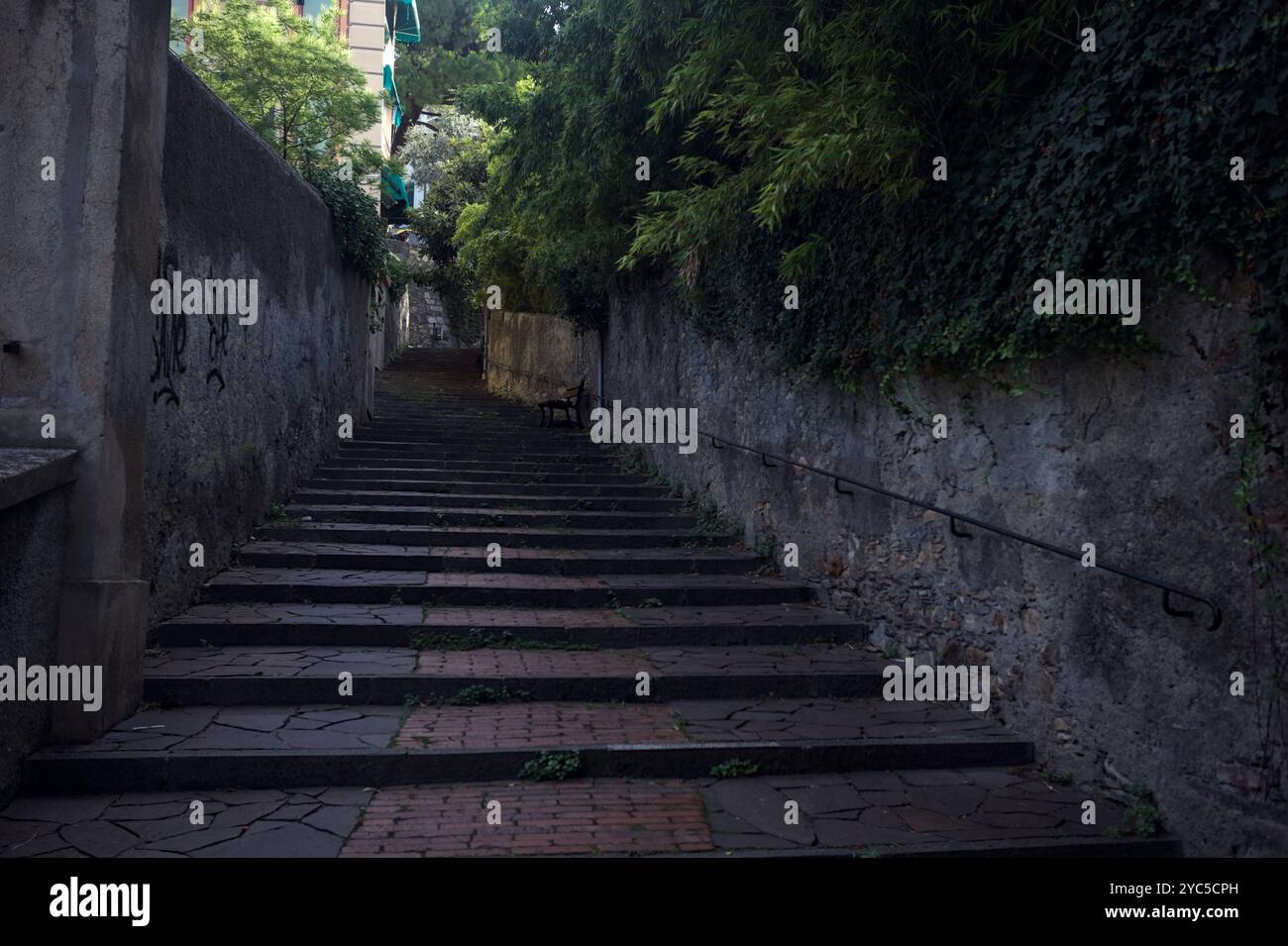 Climbing staircase in the shade bordered by walls with trees arching on ...
