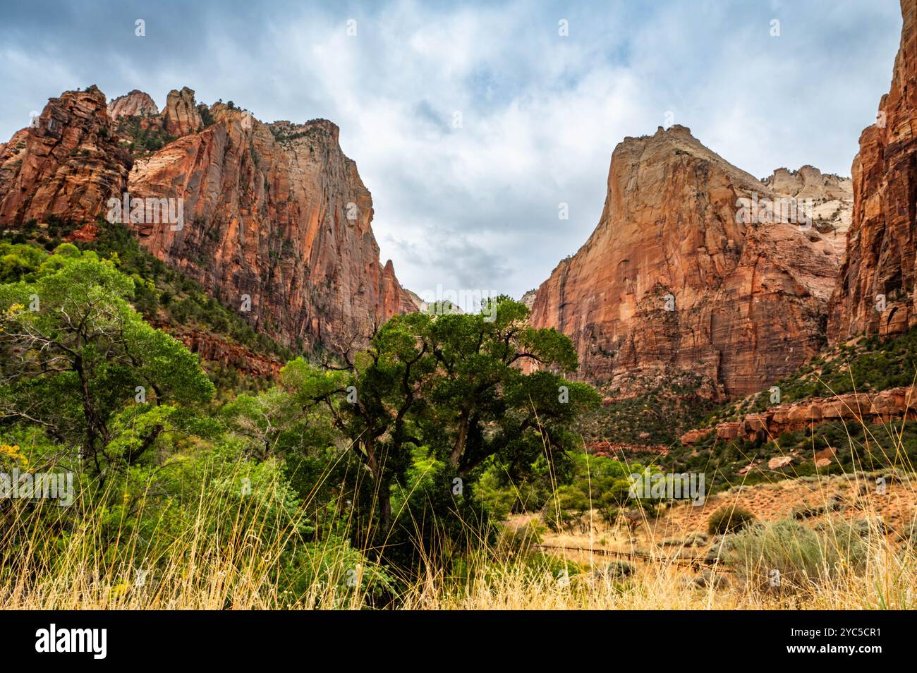 Zion National Park Emerald Pool hike in fall of 2024 Stock Photo - Alamy