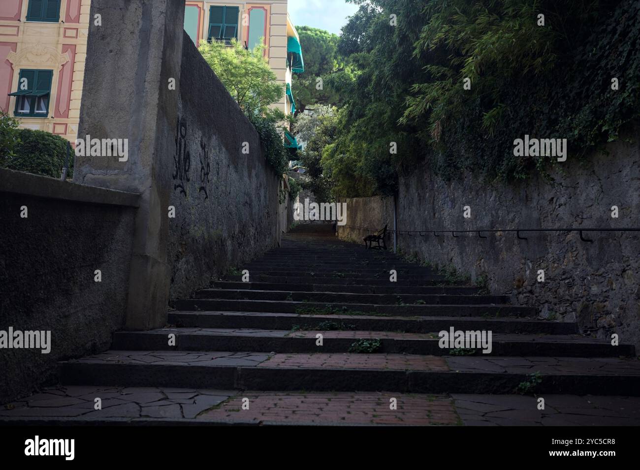 Climbing staircase in the shade bordered by walls with trees arching on ...