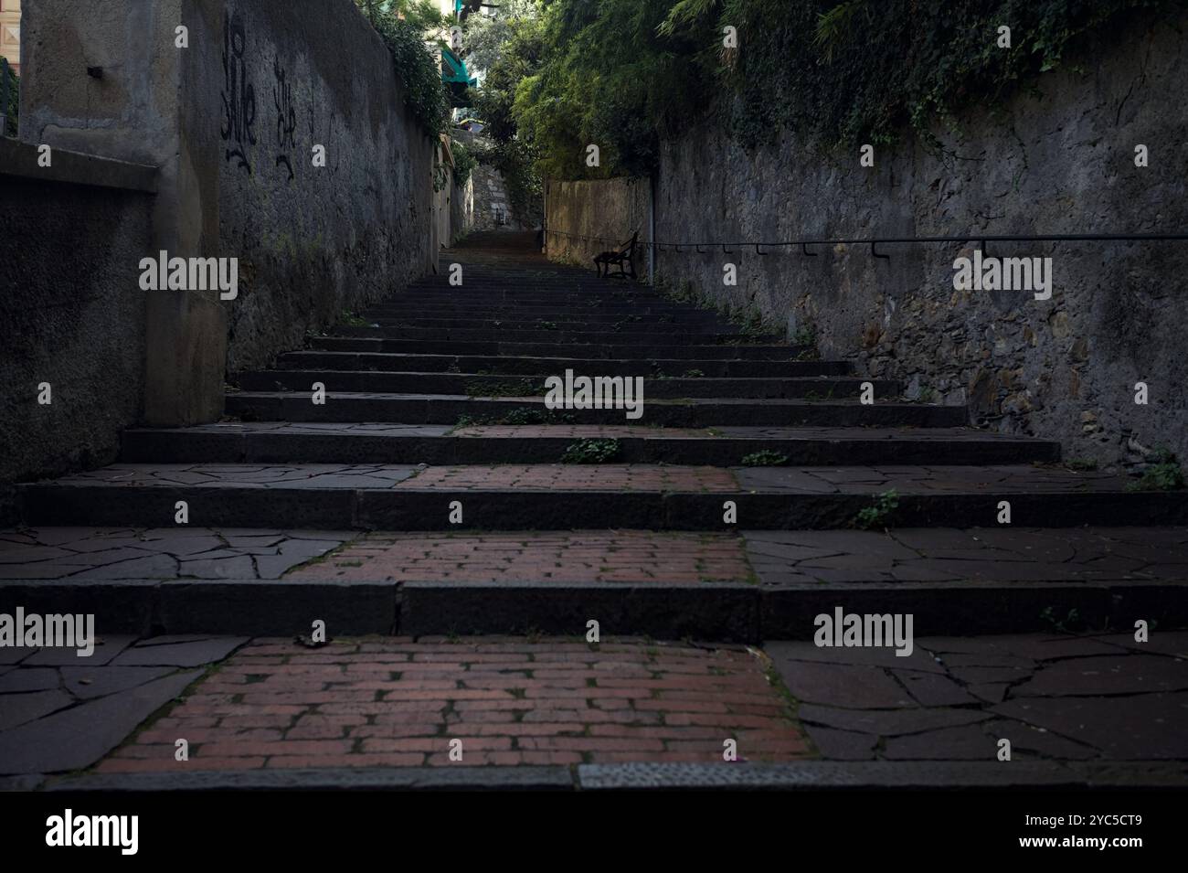 Climbing staircase in the shade bordered by walls with trees arching on ...