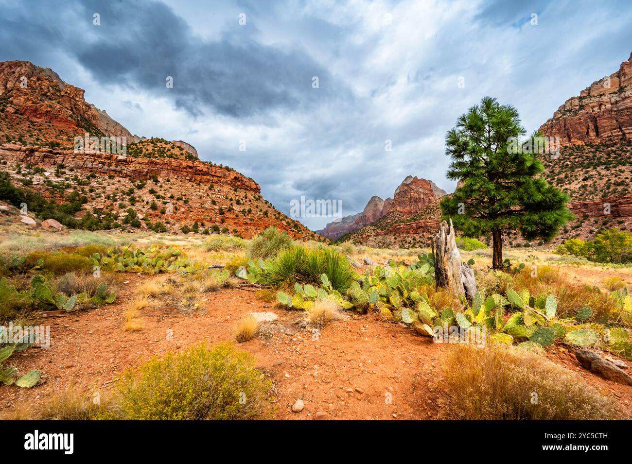 Zion National Park Emerald Pool hike in fall of 2024 Stock Photo - Alamy
