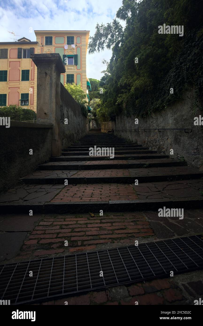 Climbing staircase in the shade bordered by walls with trees arching on ...