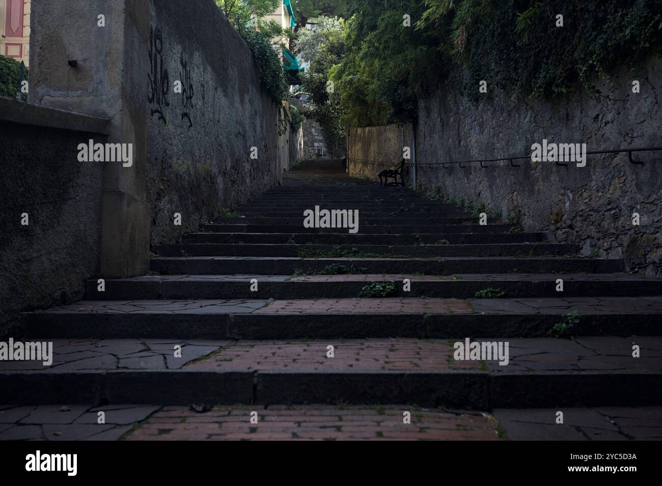 Climbing staircase in the shade bordered by walls with trees arching on ...