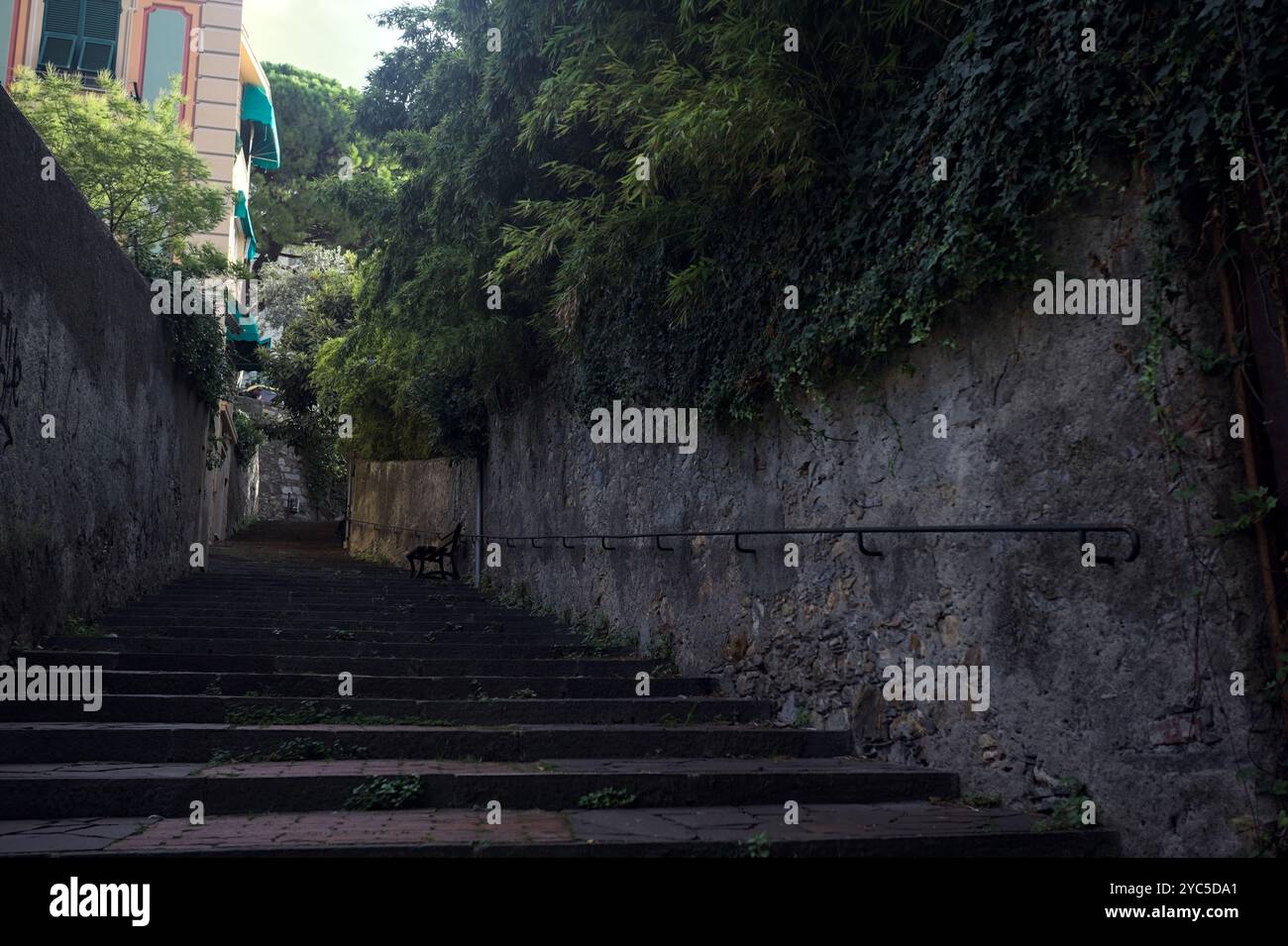 Climbing staircase in the shade bordered by walls with trees arching on ...