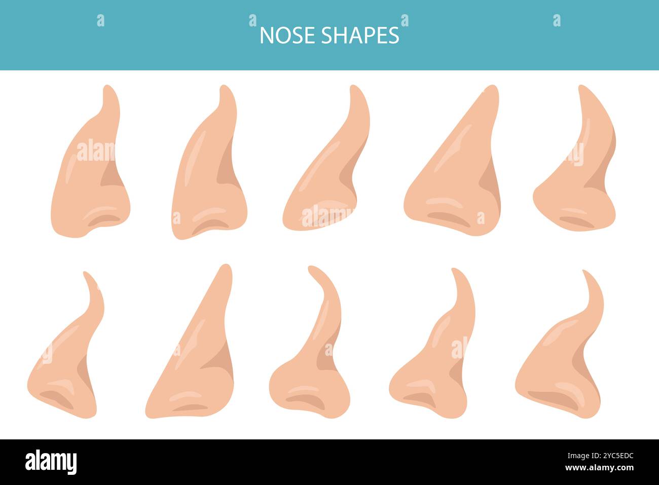 Shapes of nose anatomy. Nasal diseases. Medical infographic design ...