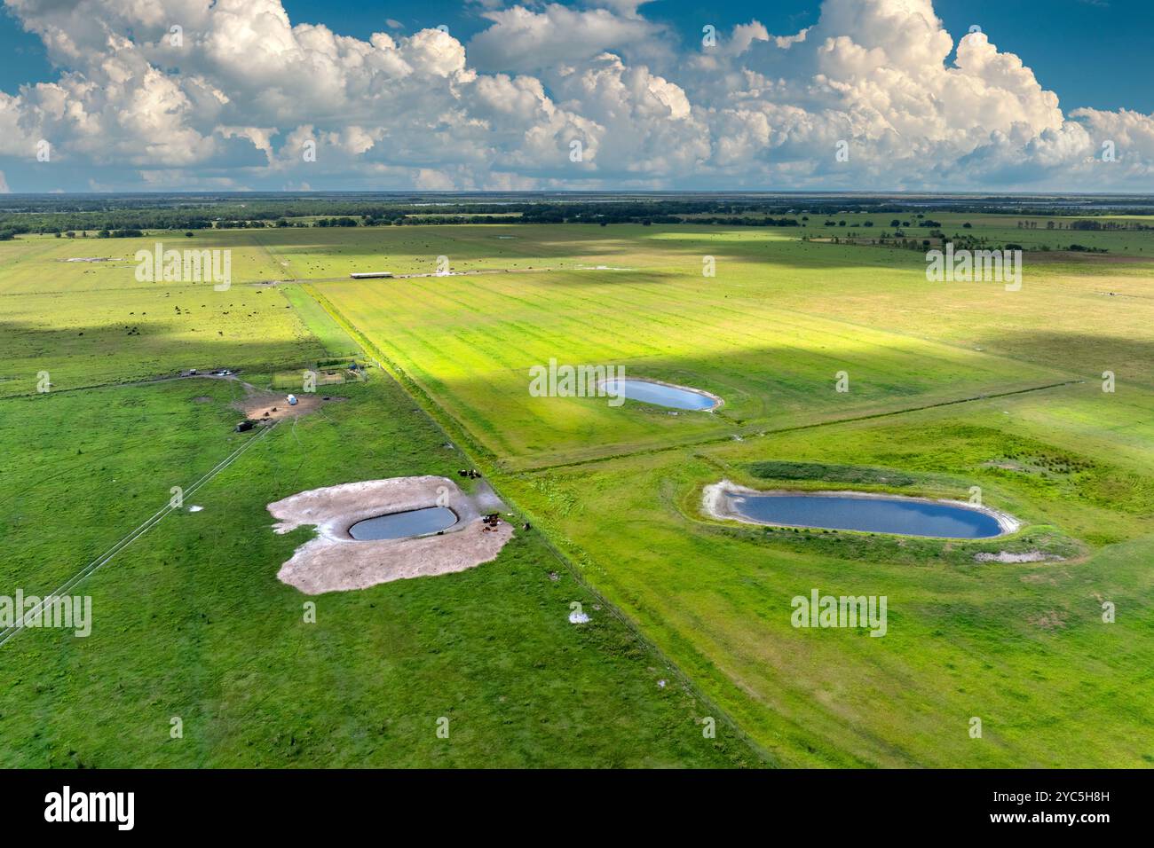 Green farmland landscape in summer season with growing crops ...