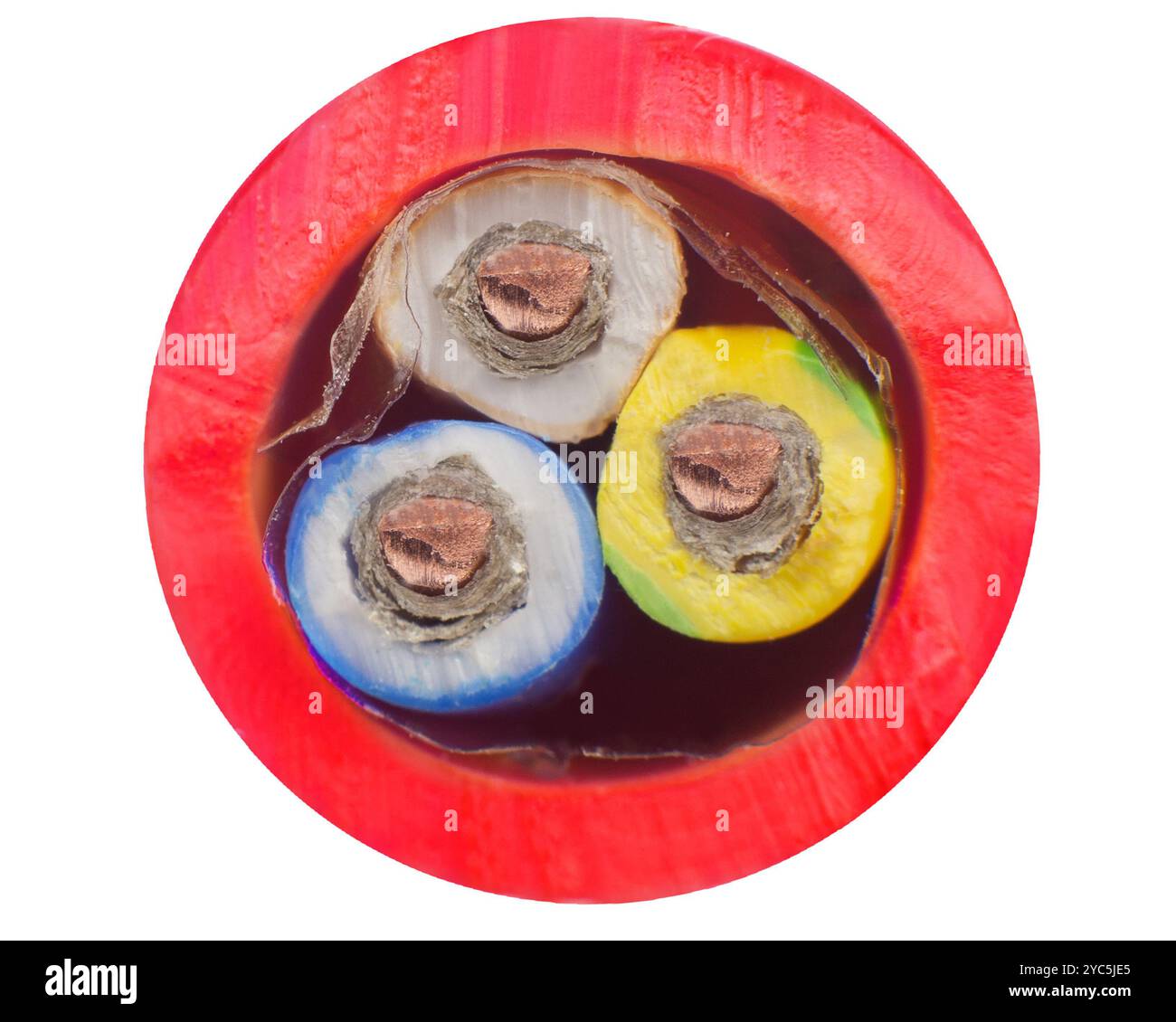 Cross section of a three conductor electrical cable Stock Photo - Alamy
