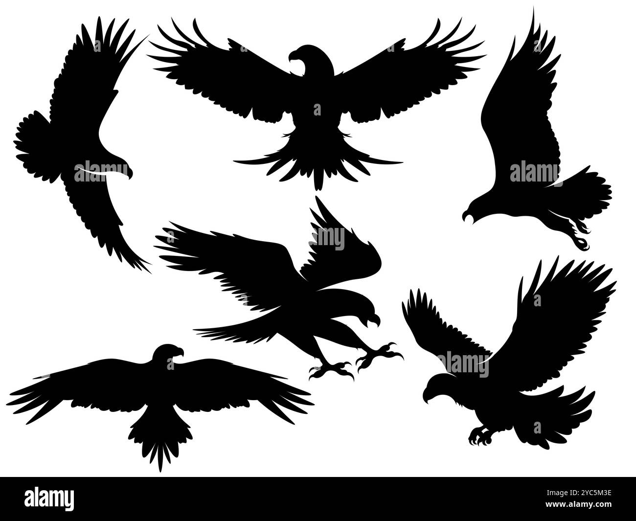 Eagle silhouette. Flying bald hawk. Black and white freedom symbol ...