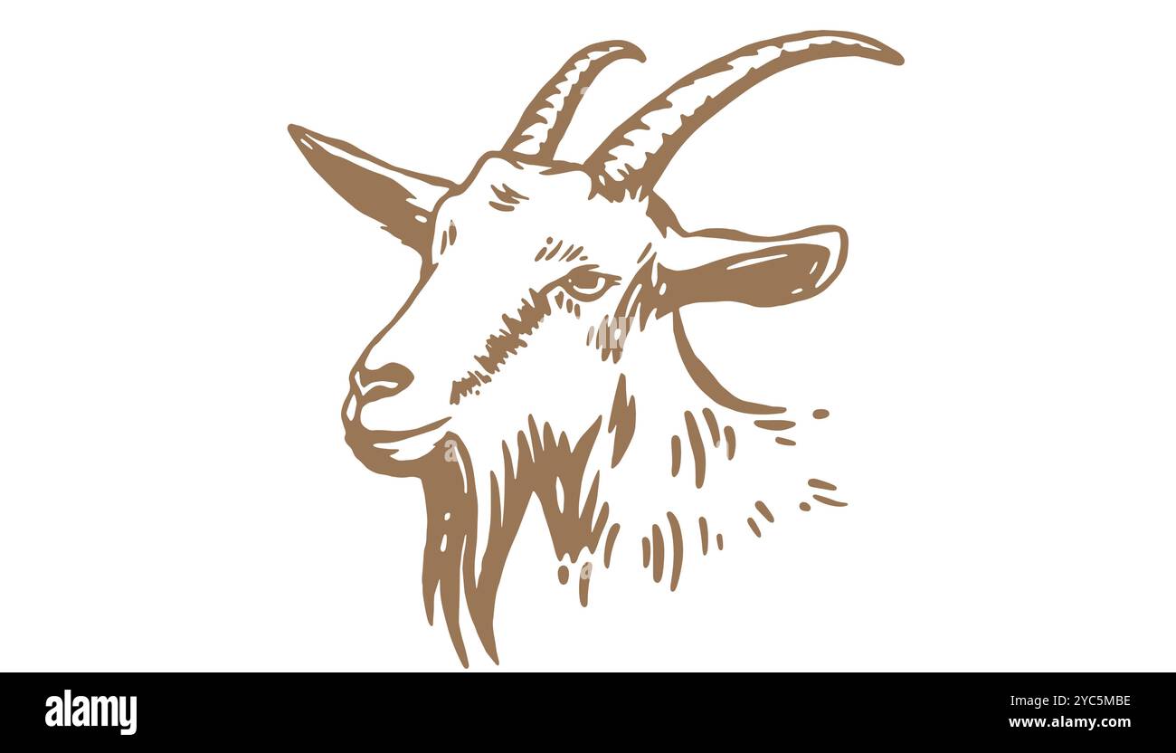 Line drawing head white goat hi-res stock photography and images - Alamy