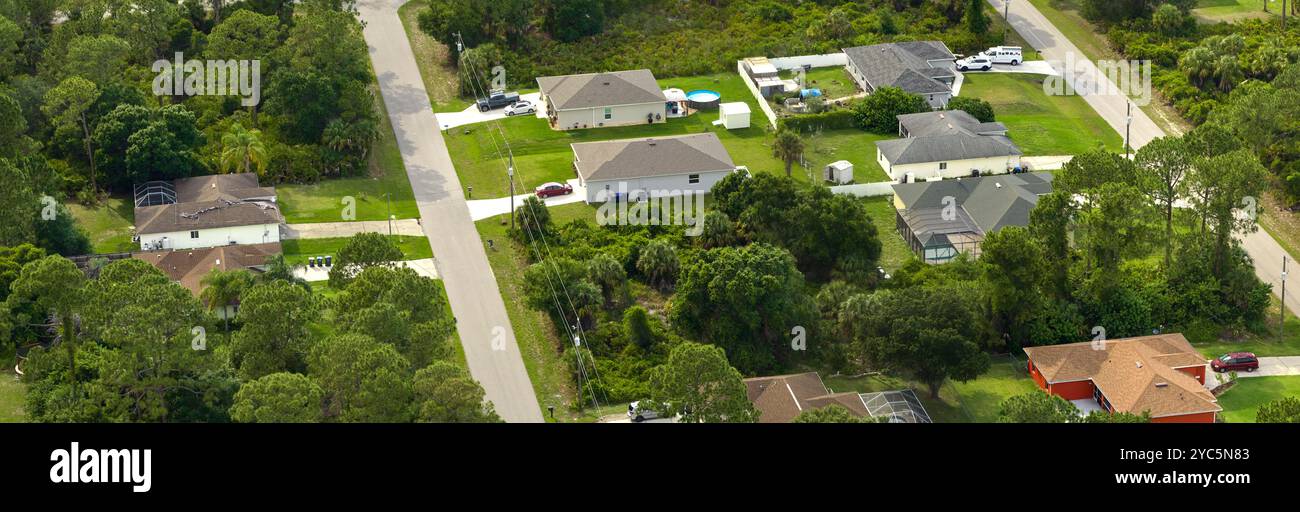 Aerial landscape view of suburban private houses between green palm ...