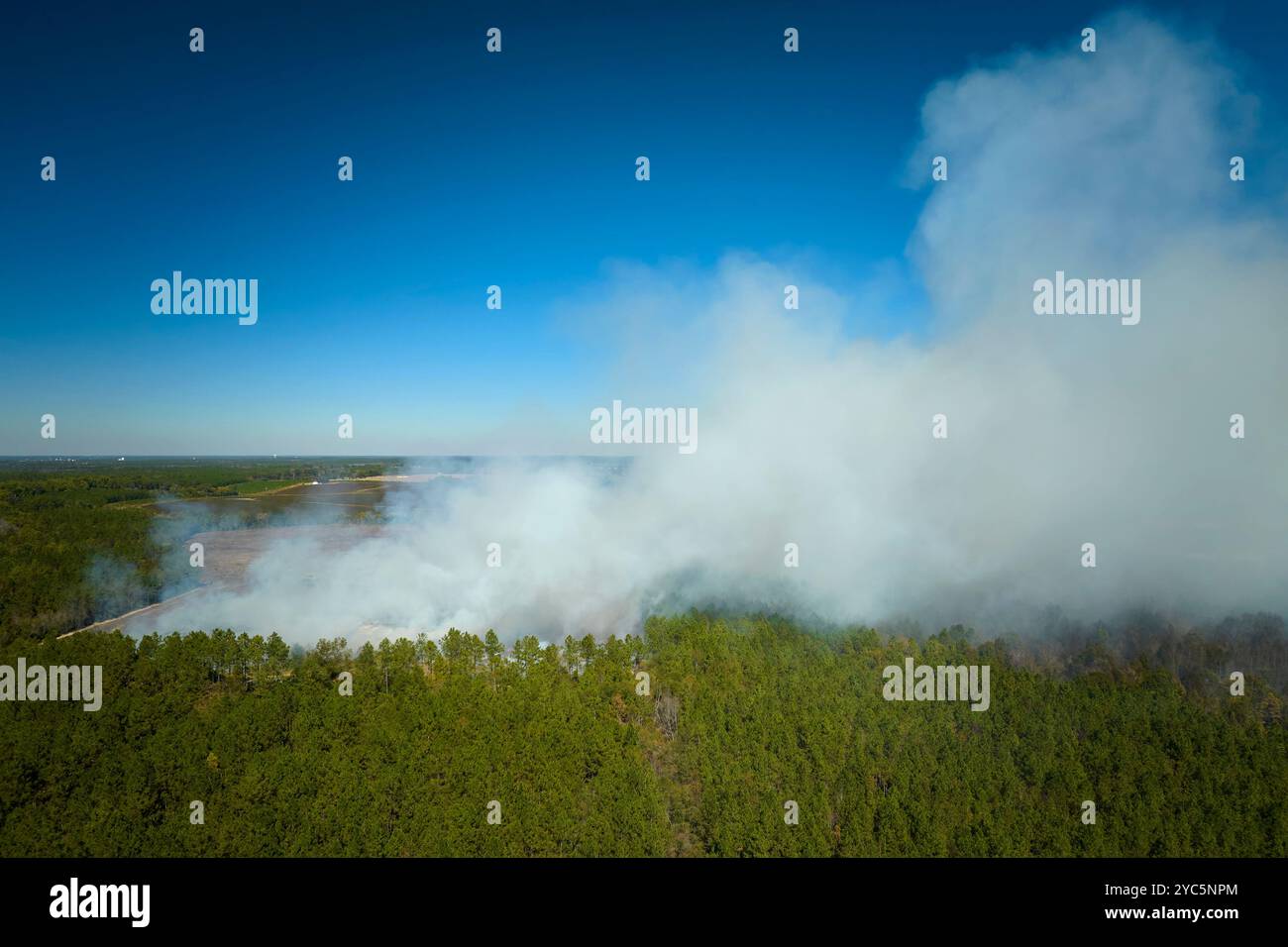 Aerial view of white smoke from forest fire rising up polluting ...