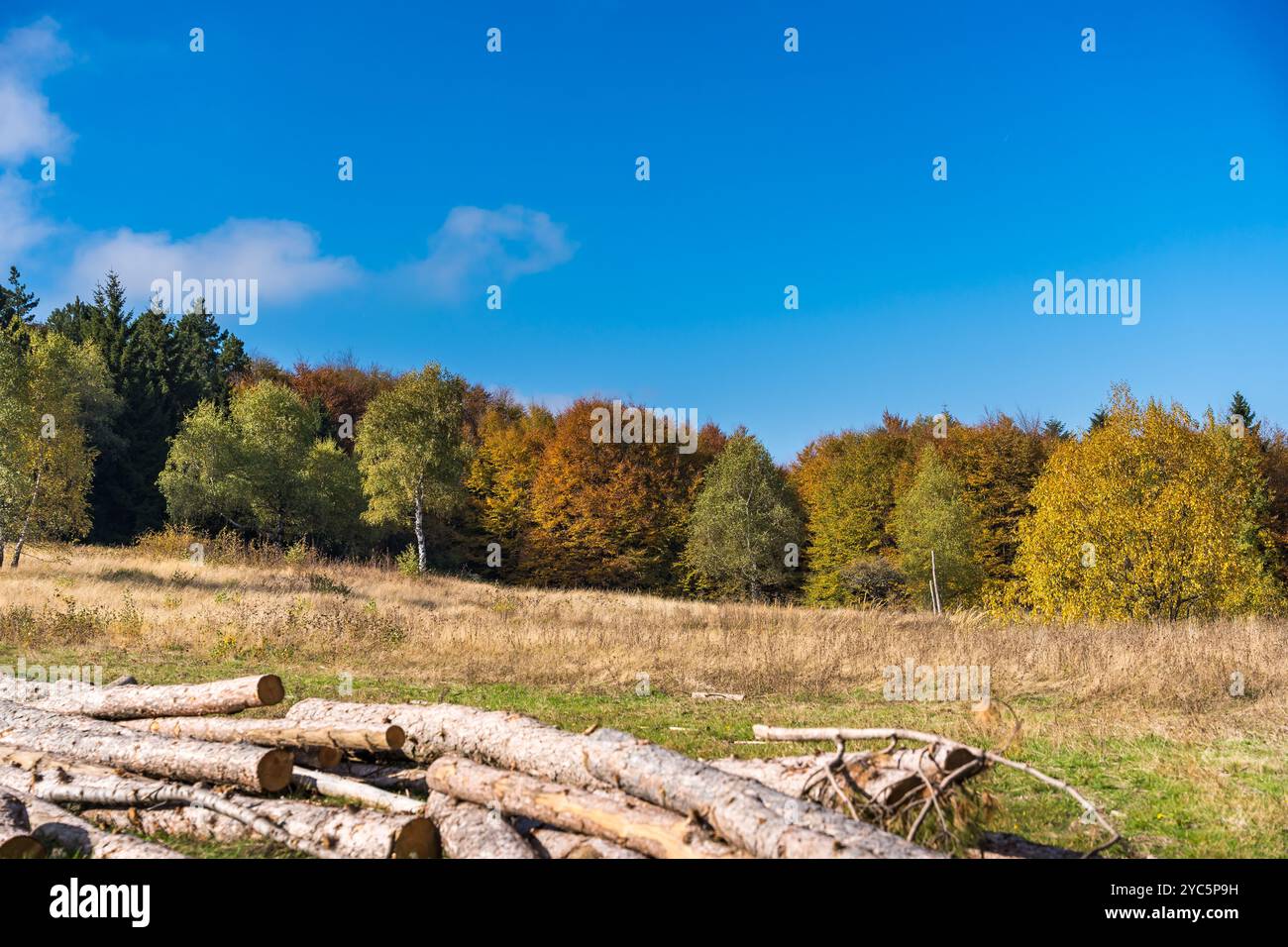 Nature and viewpoints of the mountain Bobija in Western Serbia, near ...