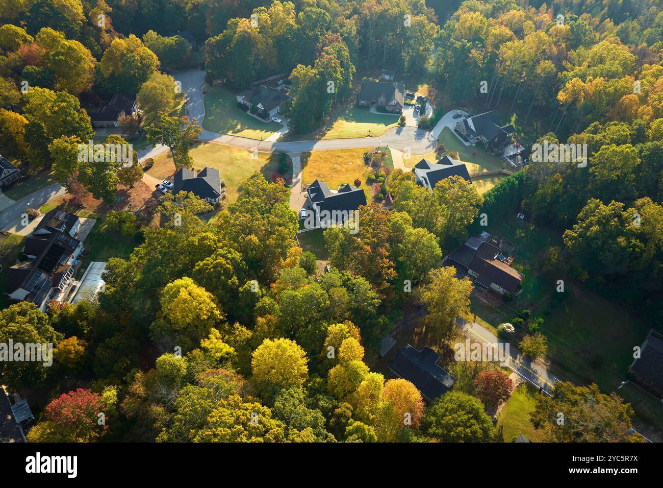 Aerial view of classical american homes in South Carolina residential ...