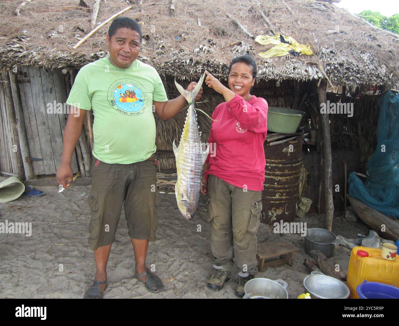 Giant Queenfish (Scomberoides commersonnianus) Actinopterygii Stock ...