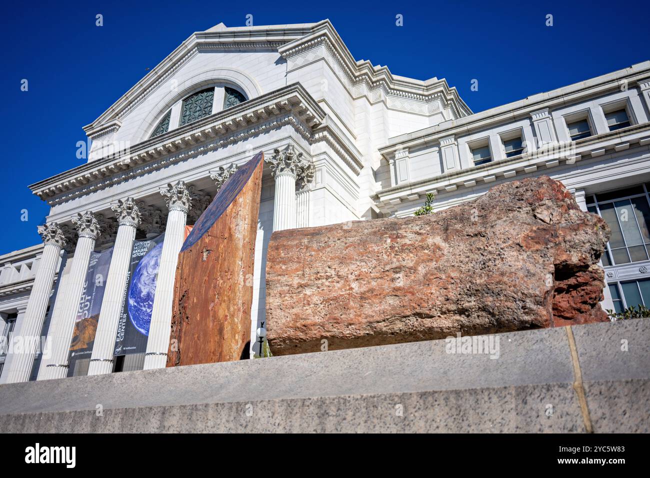 Petrified forest specimens hi-res stock photography and images - Alamy