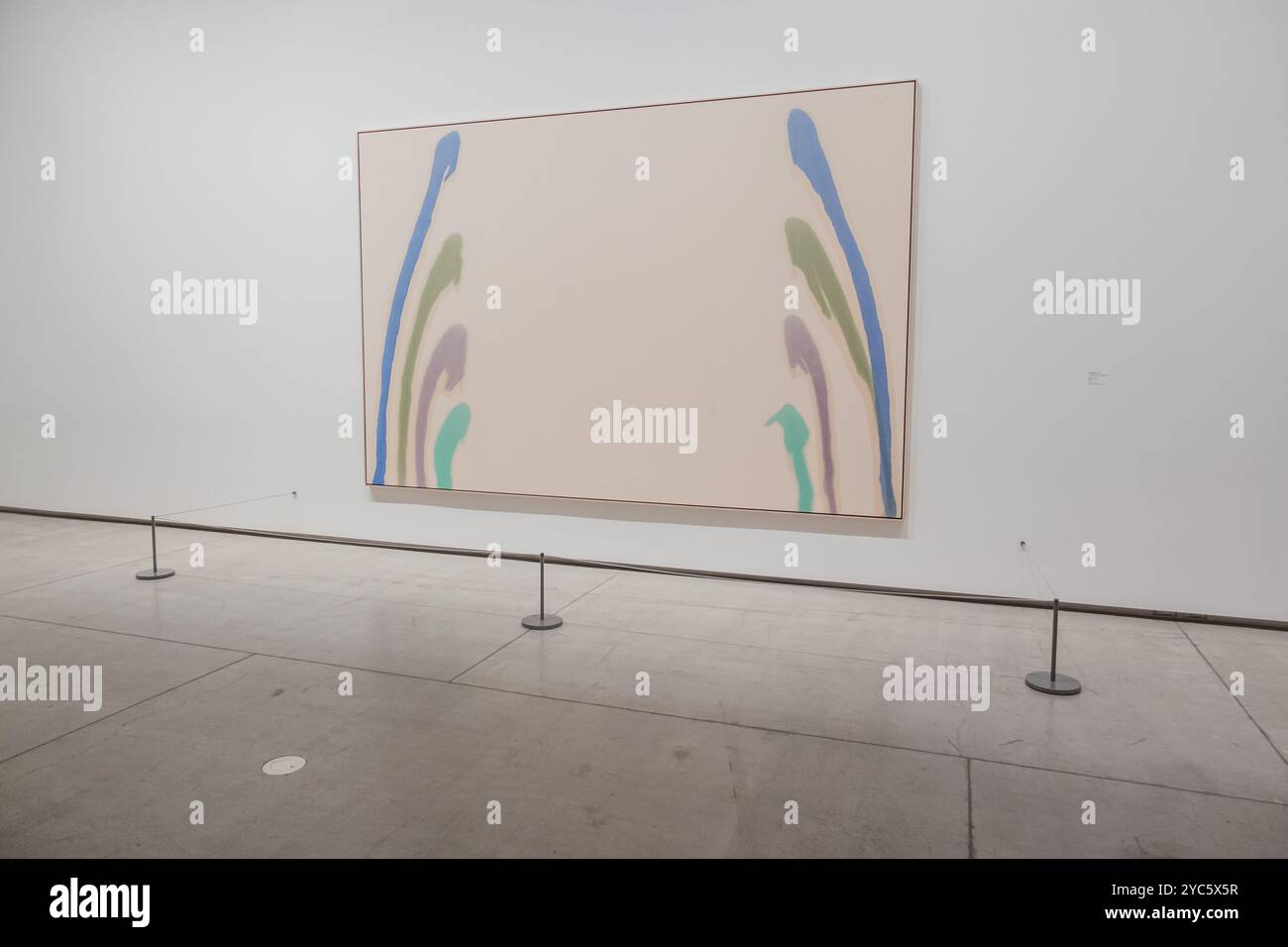 "Delta Tau" by Morris Louis, an acrylic resin on canvas artwork from ...