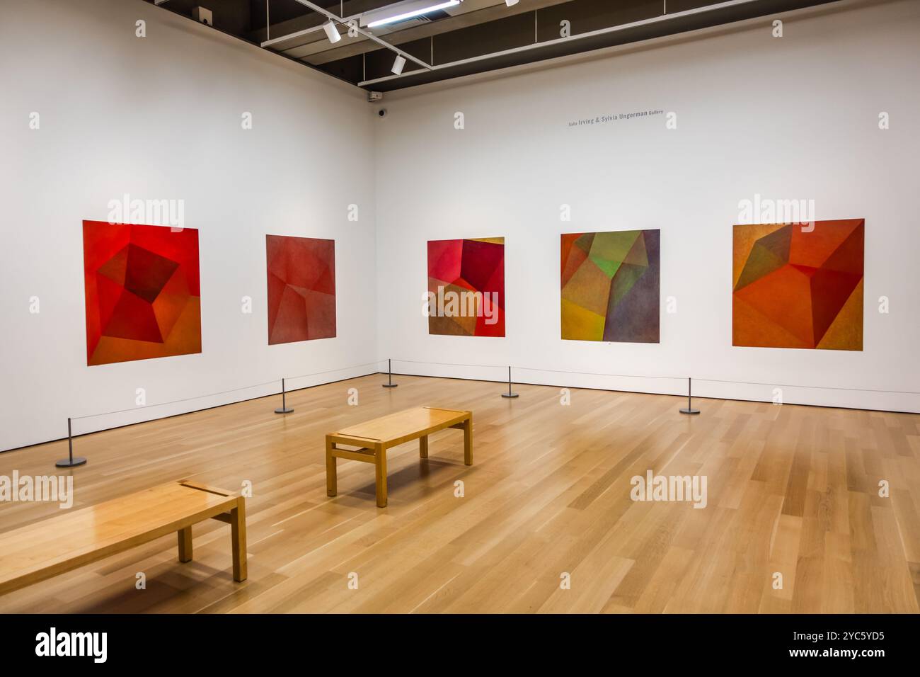 abstract paintings by Korean artist Jinny Yu, illustrating the dynamic ...