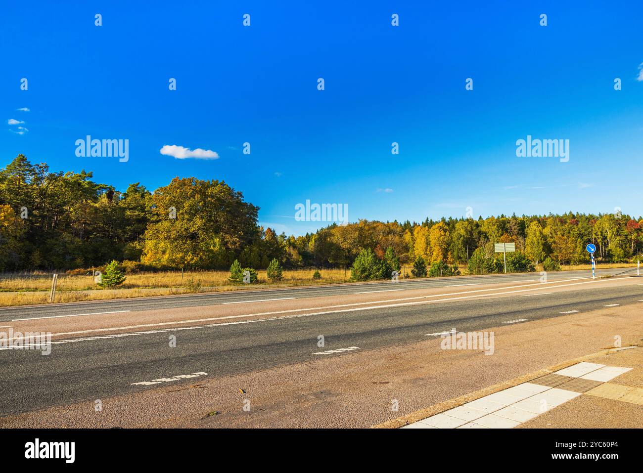 Empty highway beside autumn trees under clear blue sky with forest and ...