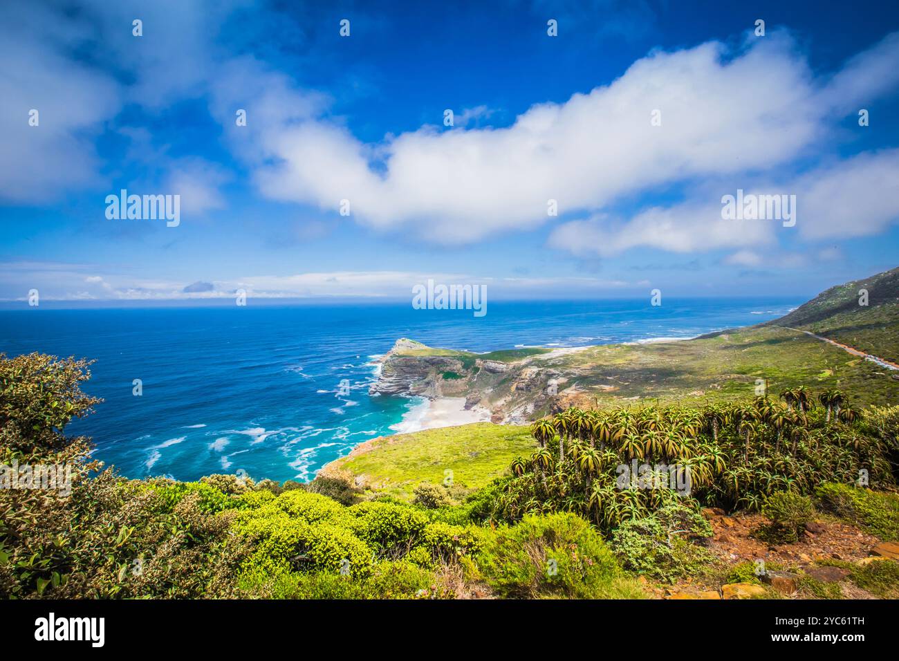 Capepoint hi-res stock photography and images - Alamy