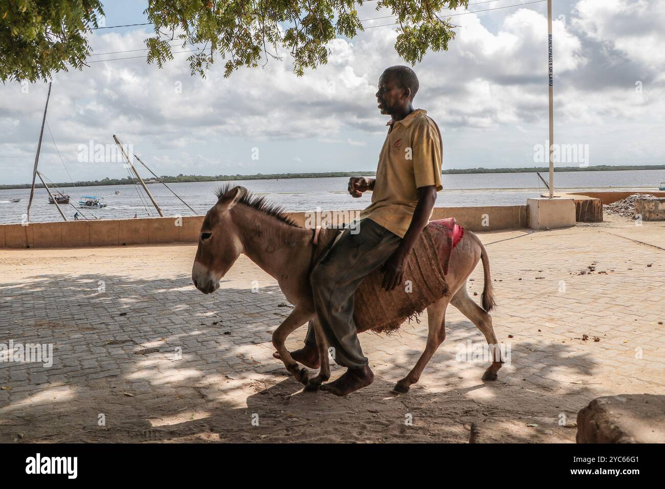 Lamu, Kenya. 17th Oct, 2024. A man rides on his donkey in Lamu Old Town ...