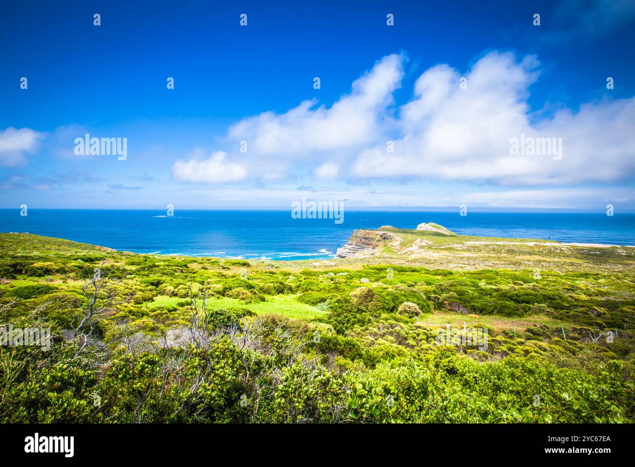 Capepoint hi-res stock photography and images - Alamy