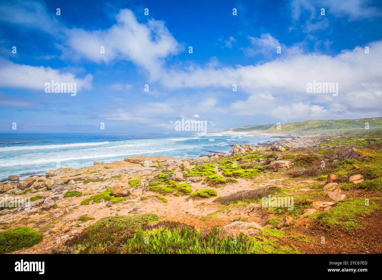 Untamed greenery hi-res stock photography and images - Alamy