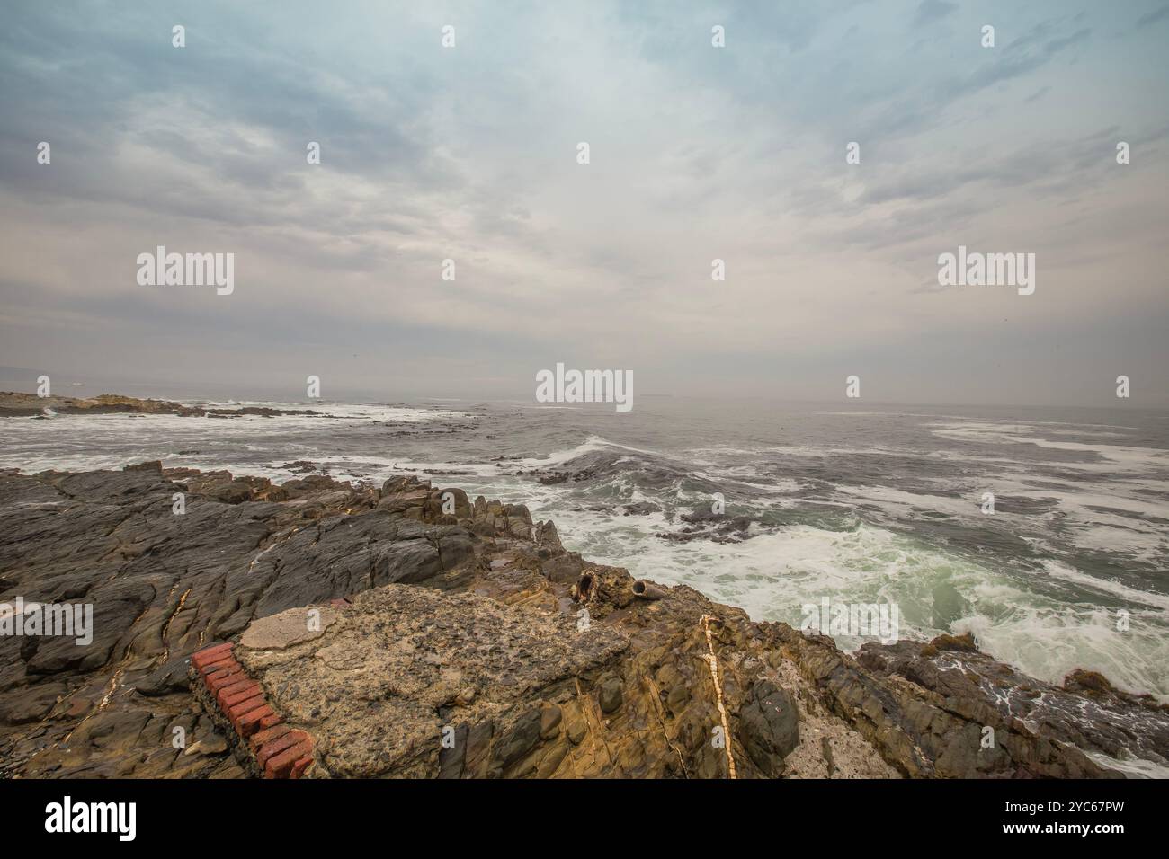Rocky shoreline at Table Mountain National Park Stock Photo - Alamy