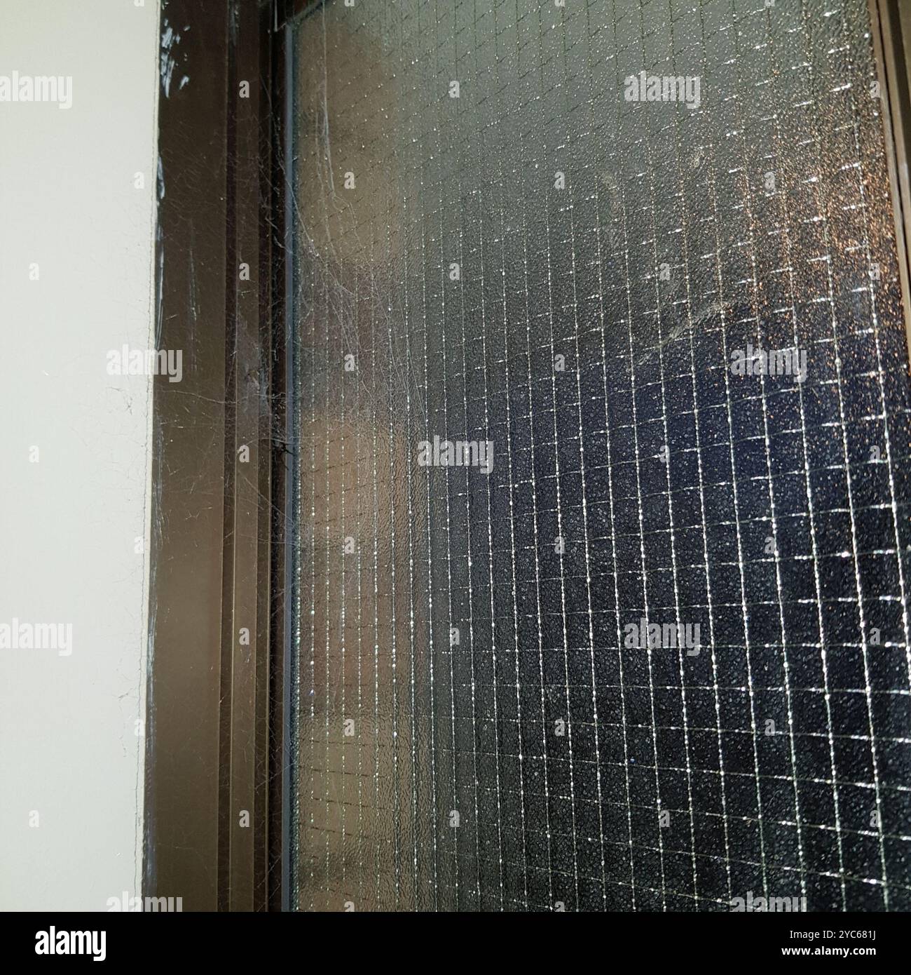 Black House Spider (Badumna insignis) Arachnida Stock Photo - Alamy