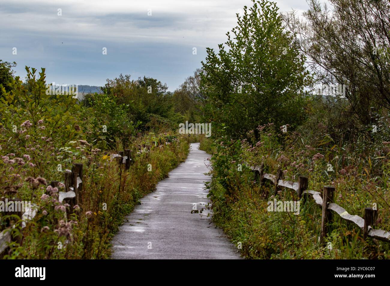 The path goes ever on & on Stock Photo - Alamy