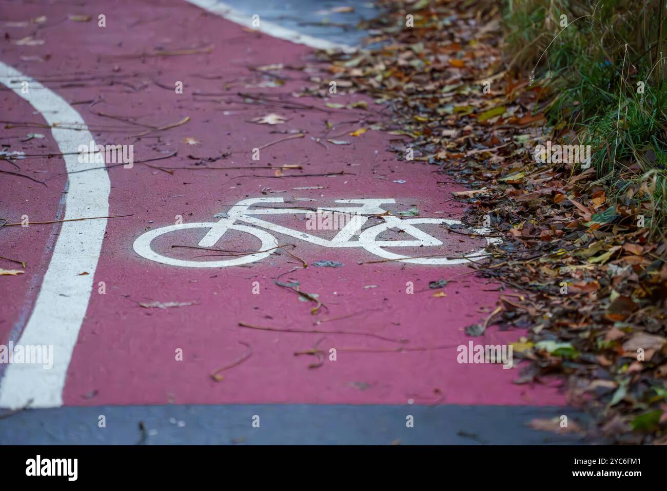 21.10.2024: Eschweiler, Dürwiss, NRW, Deutschland Bild: Radweg und ...