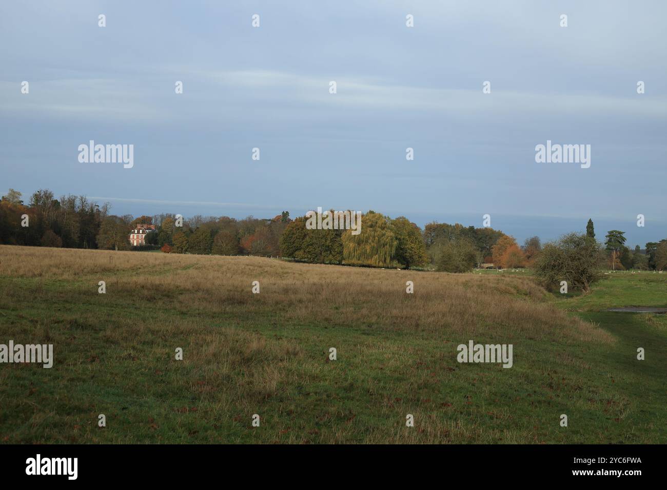 Parkland and nailbourne river with mansion in the distance ...