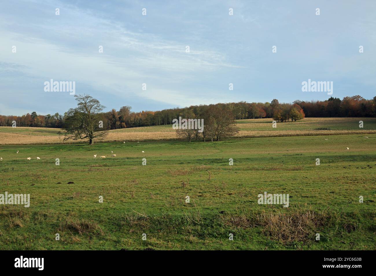 Bishopsbourne kent hi-res stock photography and images - Alamy