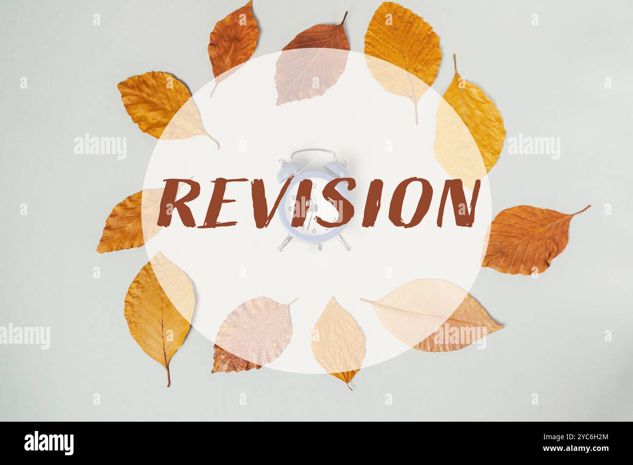 Autumn leaves arranged in a circular wreath with the word REVISION in ...