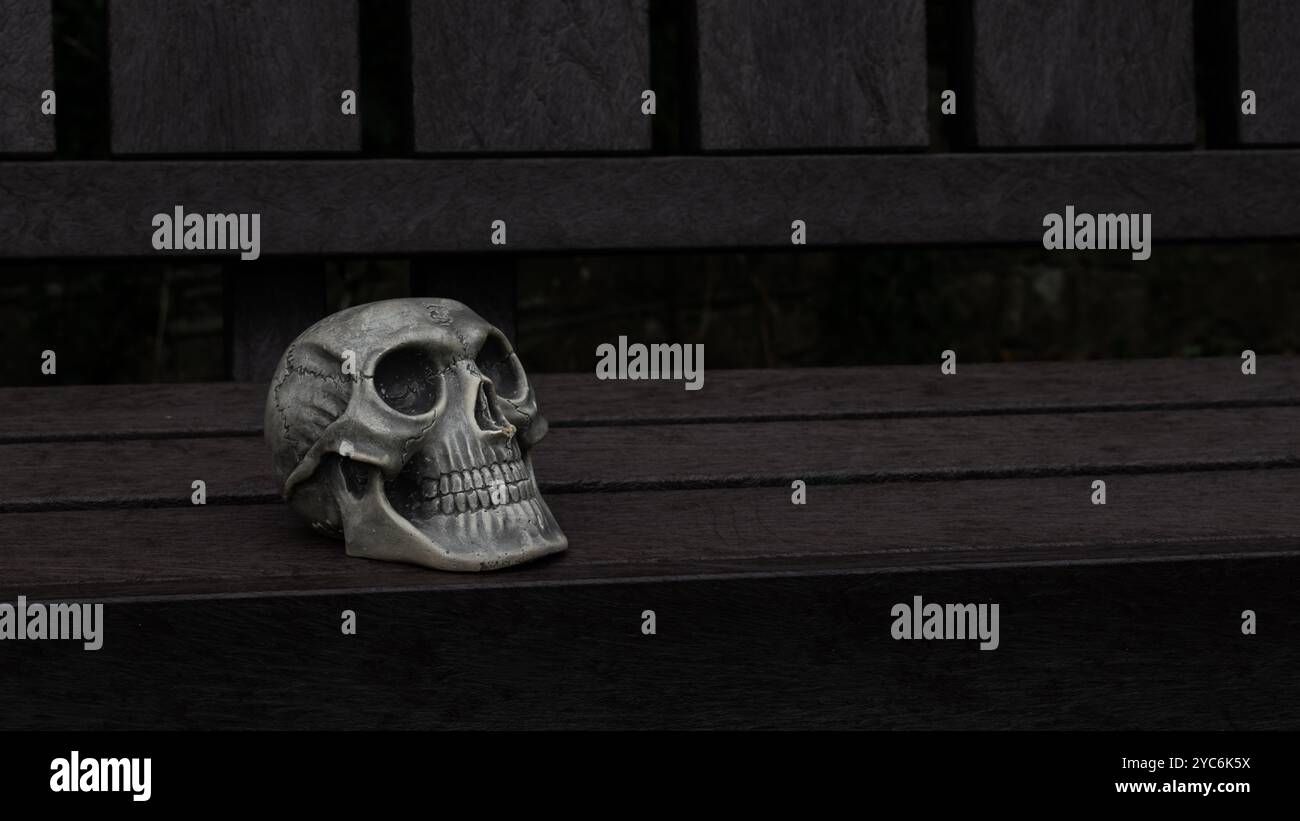 Side view of a human skull on a dark wooden bench seat, morbid ...