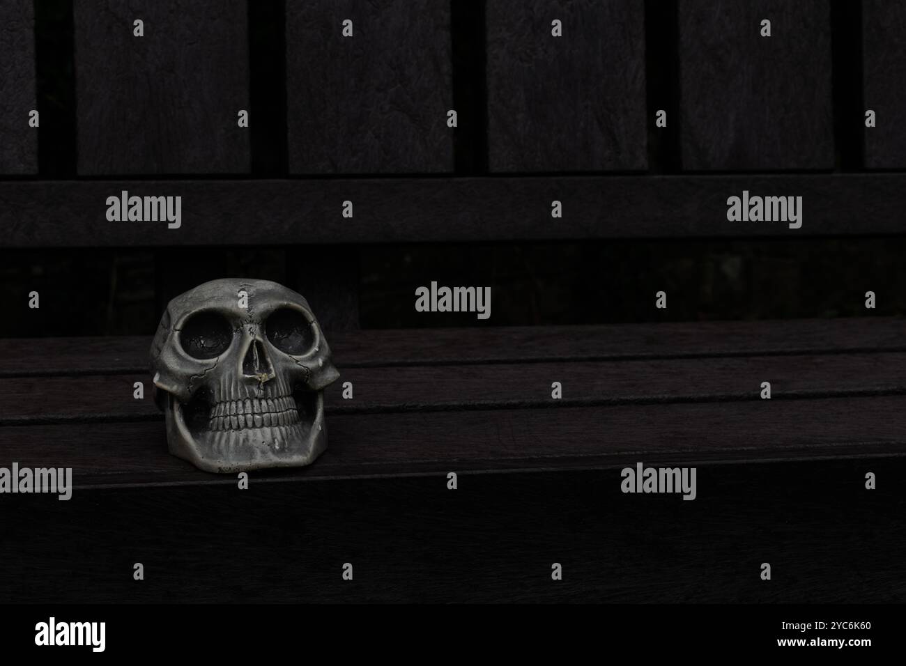 Front side of the smiling human skull on the bench seat, gloomy ...