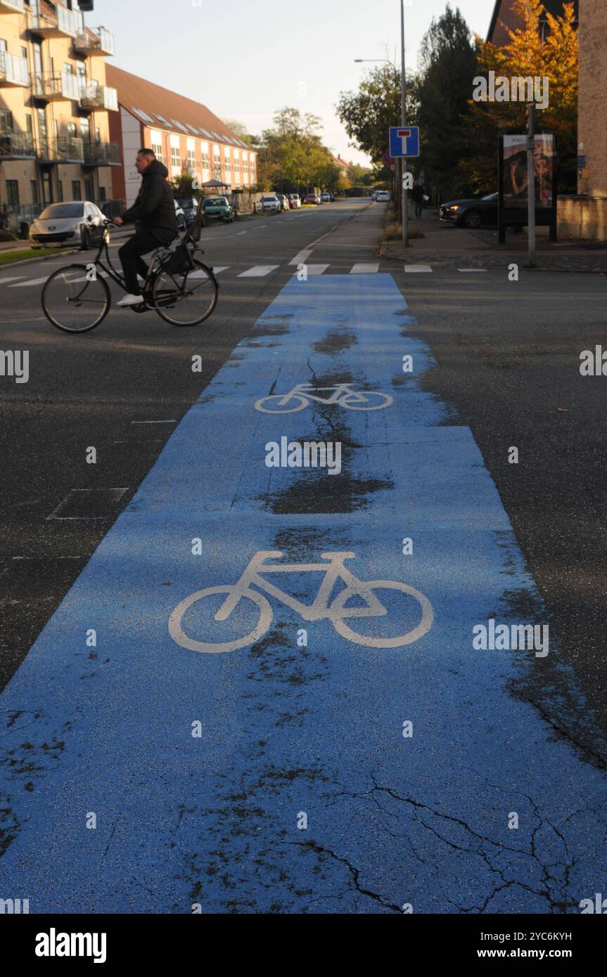 Copenhagen/ DenmarK/20 October 2024/ Bike lane sign on alleen in ...
