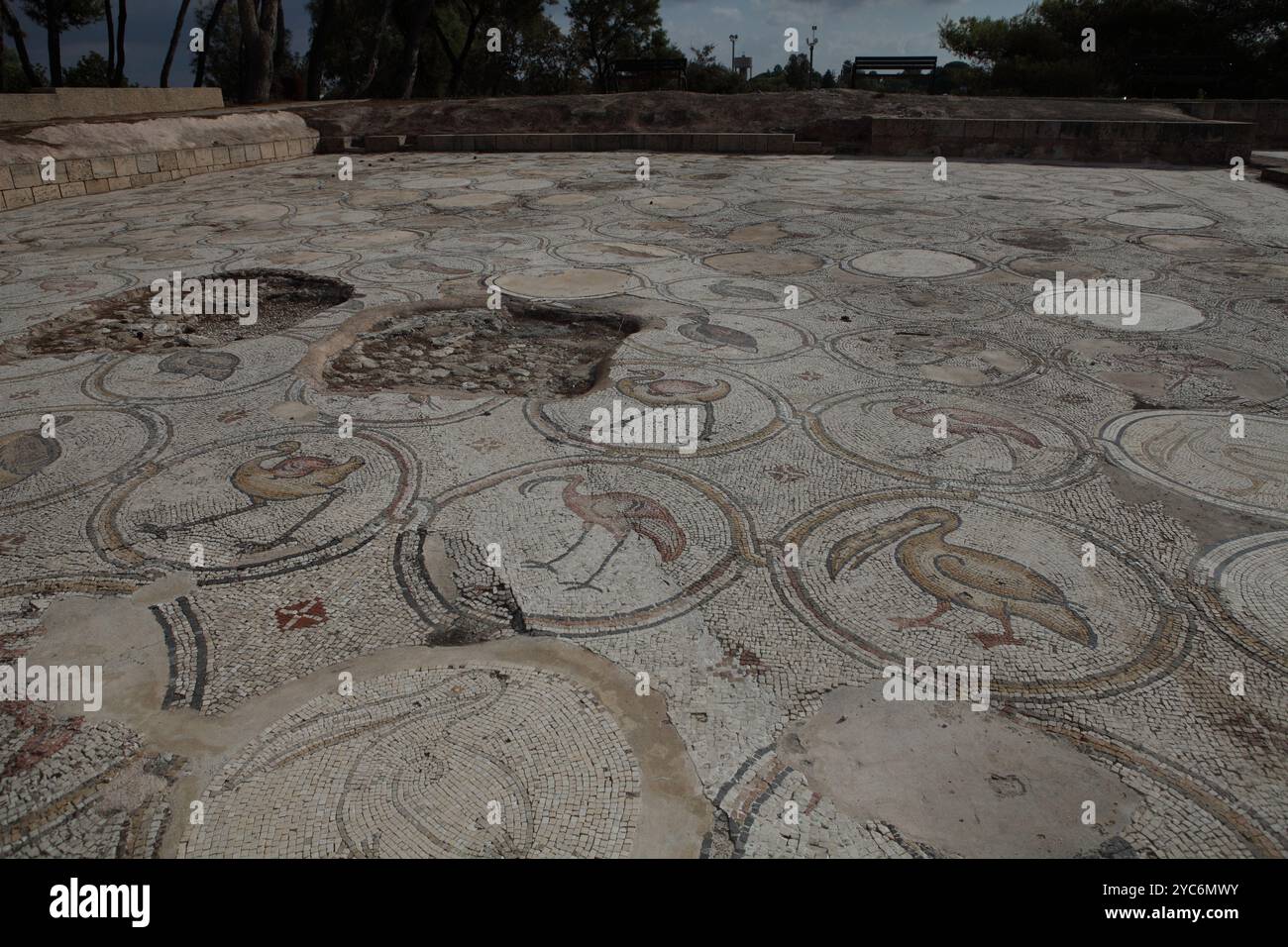 Birds mosaic, courtyard floor of a Byzantine palace from 600 AD, one ...