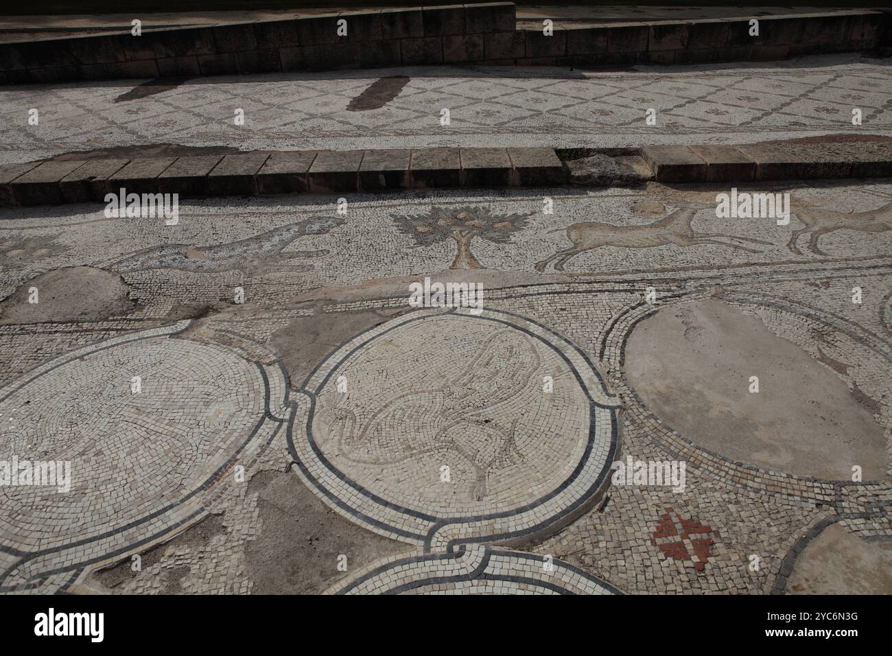 Birds mosaic, courtyard floor of a Byzantine palace from 600 AD, one ...