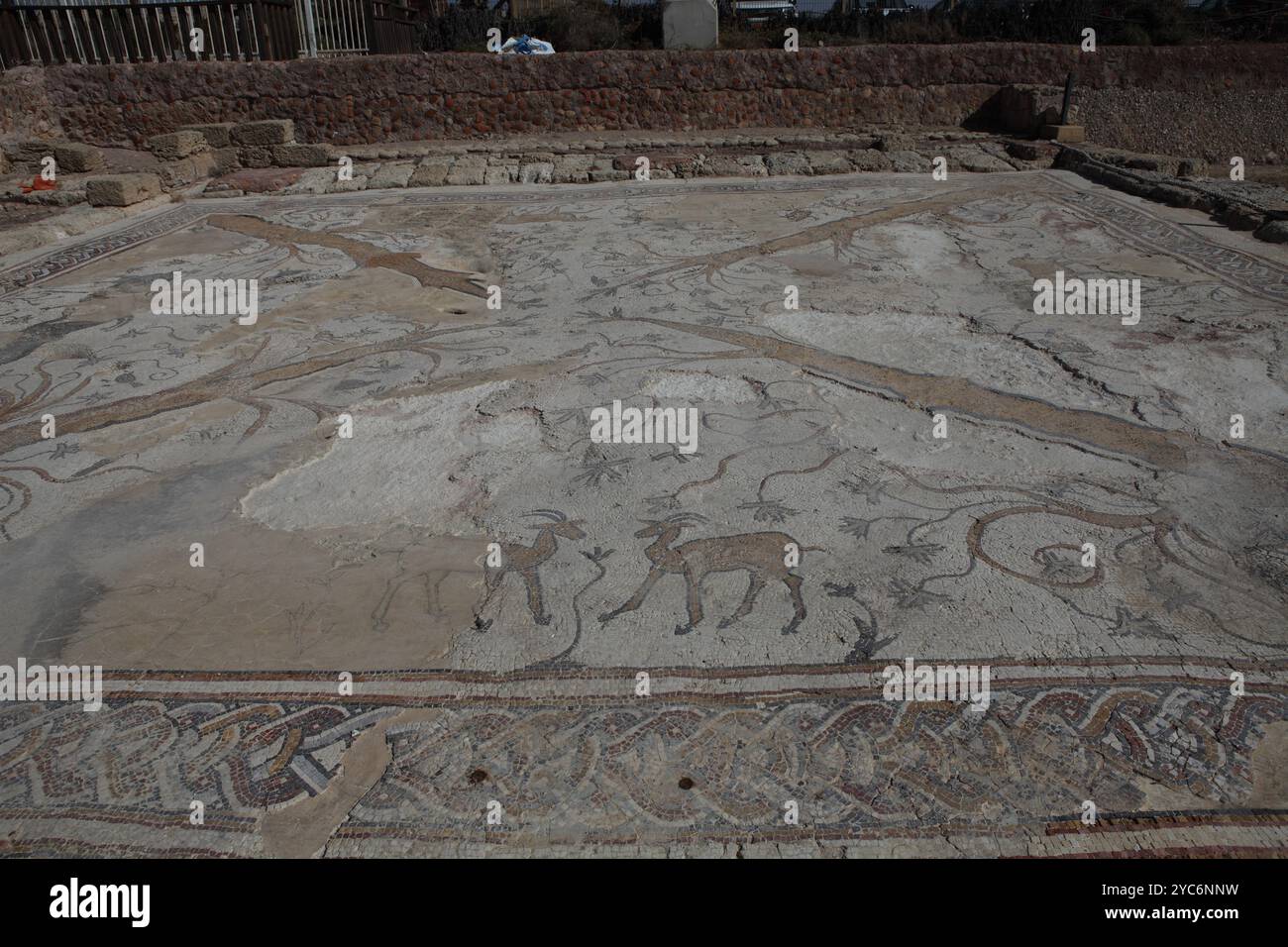 Vine scrolls hi-res stock photography and images - Alamy