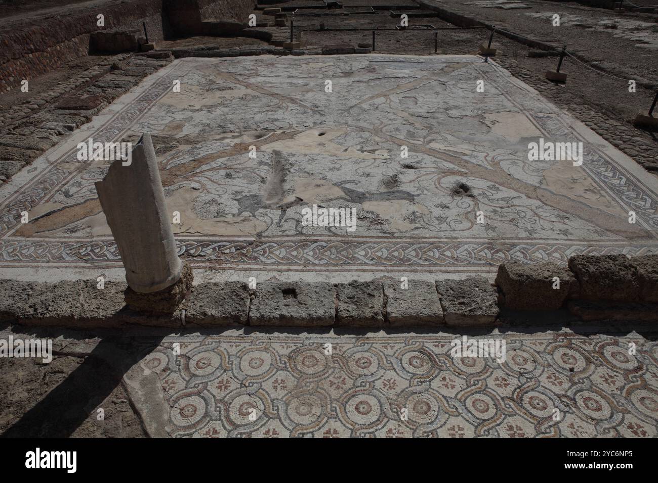 Ibexes Mosaic Hall, mosaic floor from the Byzantine era with diagonally ...