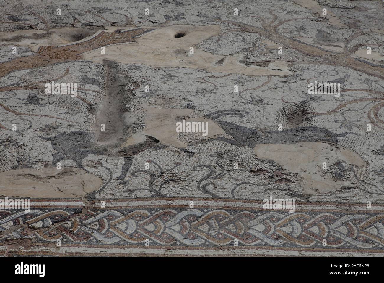 Ibexes Mosaic Hall, mosaic floor from the Byzantine era with diagonally ...