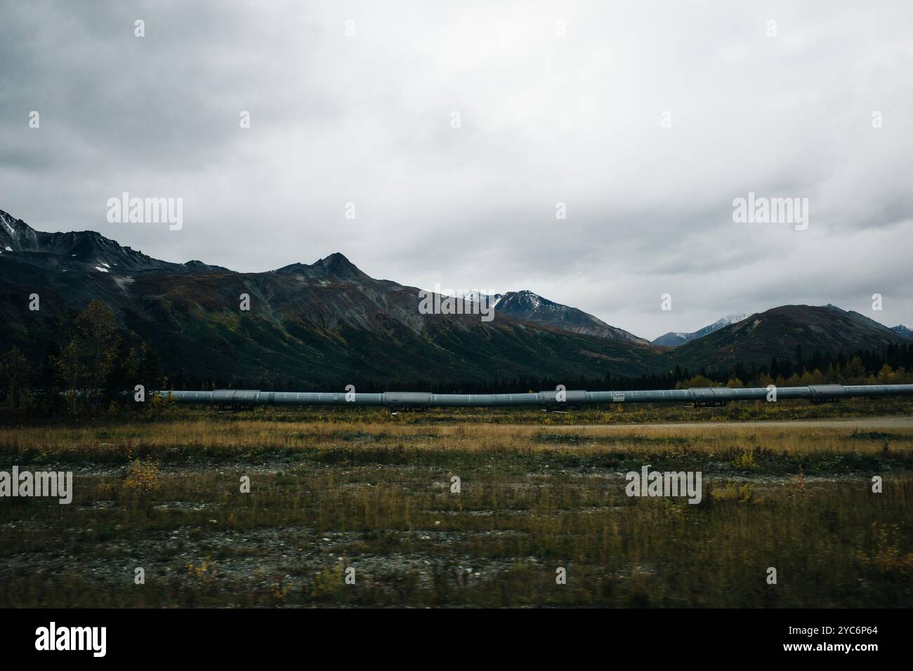 alaska, usa - 20 sep 2024 . High quality photo Stock Photo - Alamy