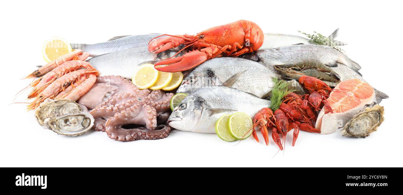 Fresh fish and different sea food isolated on white Stock Photo - Alamy