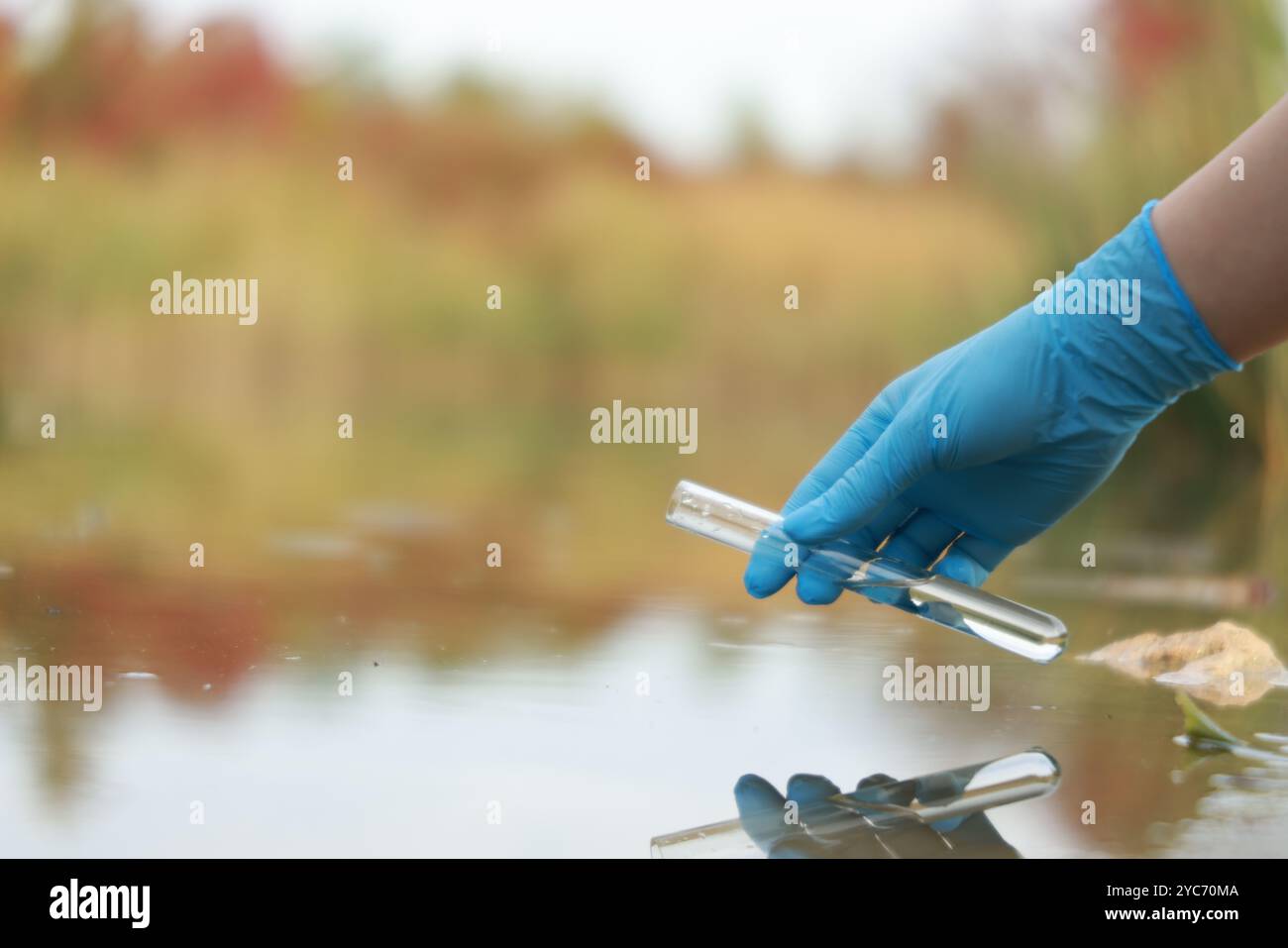 Examination of water quality. Researcher taking water sample from lake ...