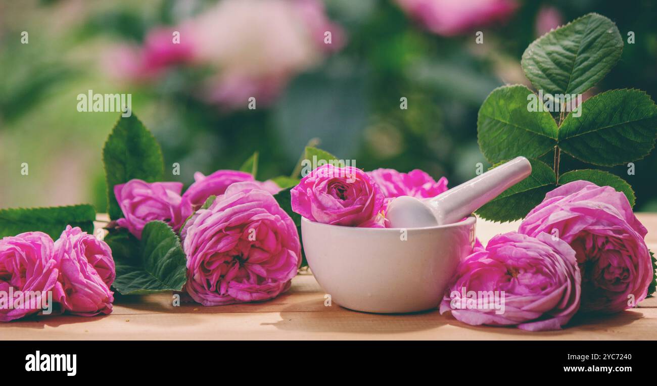 Cosmetic rose oil selective hi-res stock photography and images - Alamy