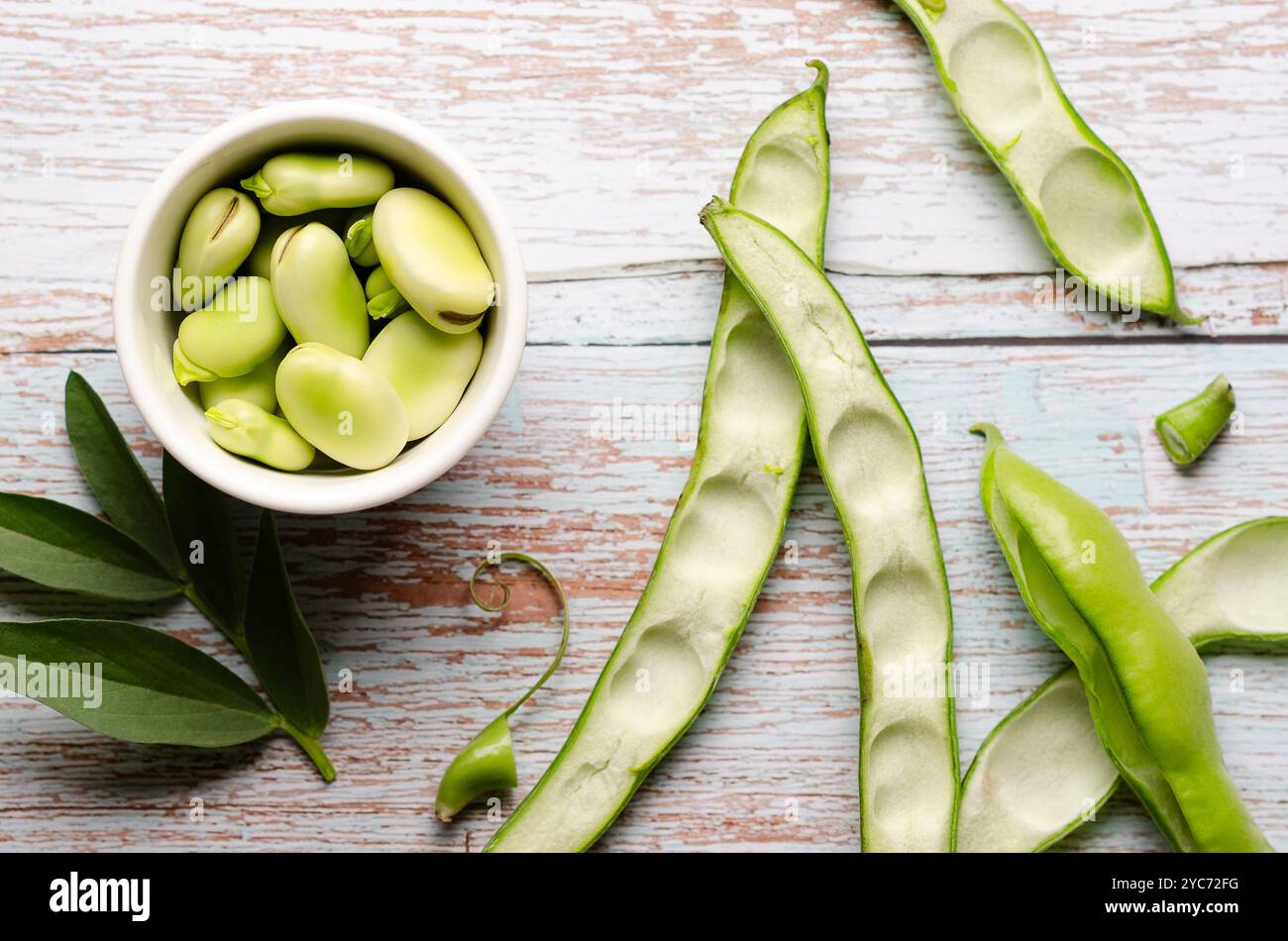 Fresh fava beans in a white bowl, some empty pods and fava beans leaves ...
