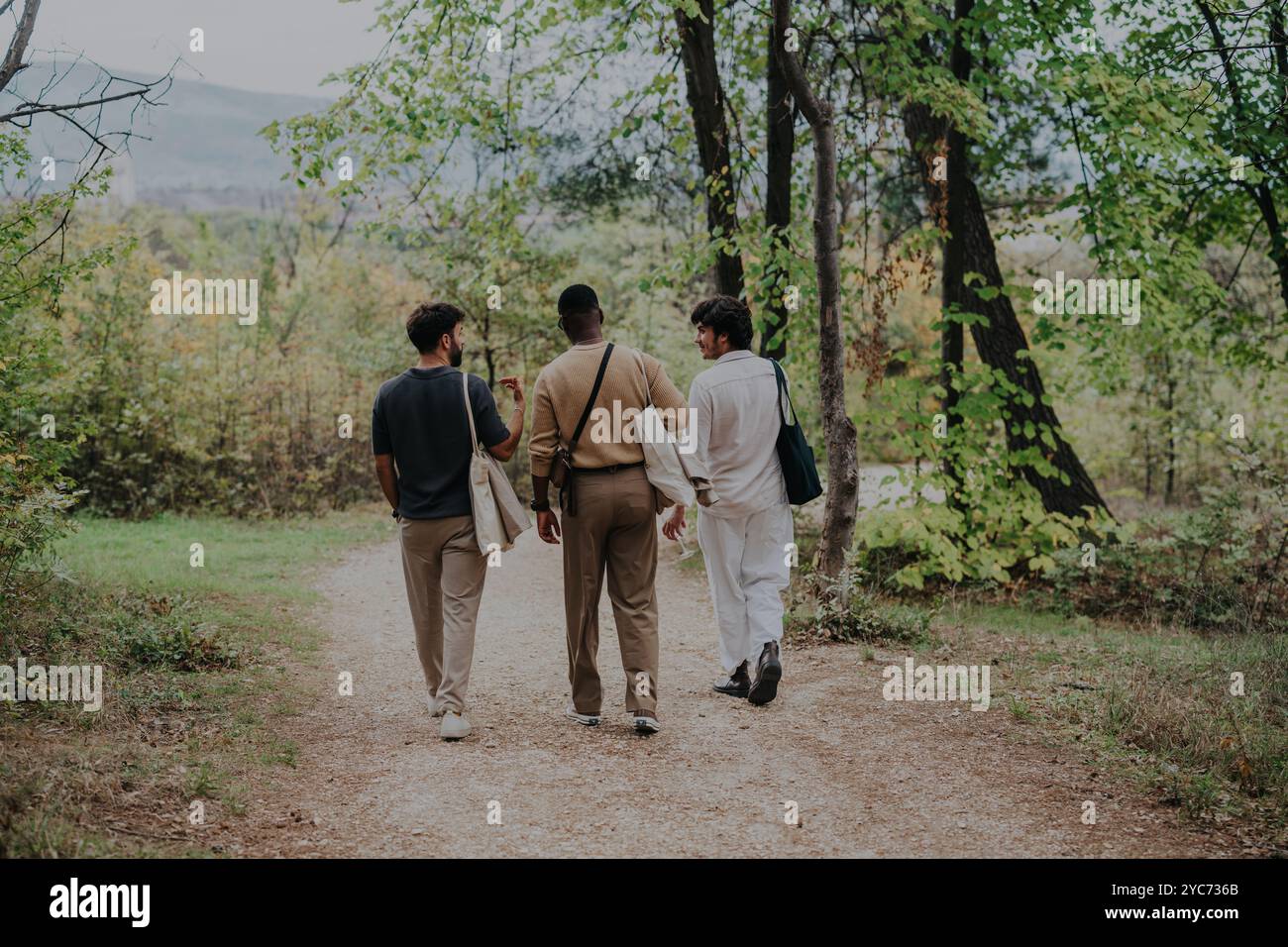 Three friends walking together on a scenic wooded trail Stock Photo - Alamy