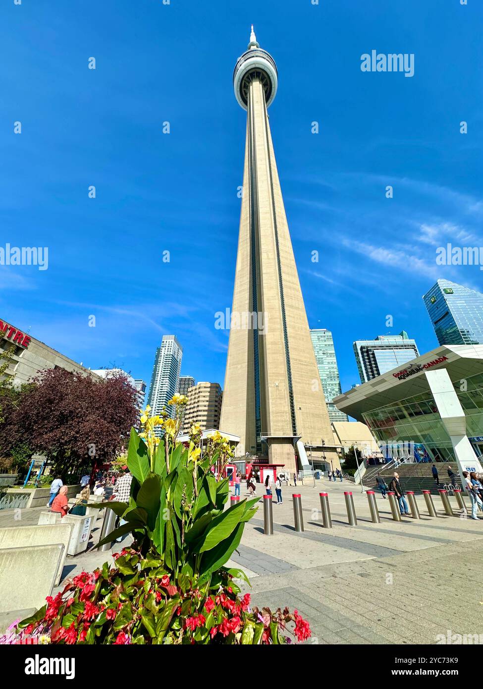 Aquarium and cn tower hi-res stock photography and images - Alamy