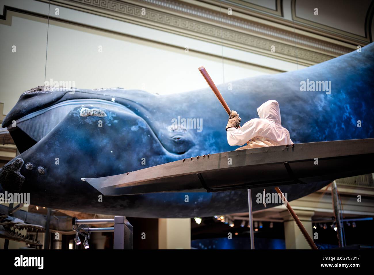 WASHINGTON DC, United States — A suspended life-size diorama in the ...